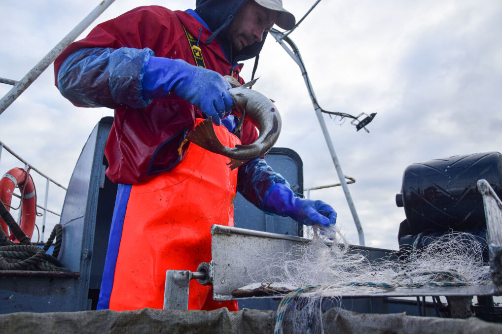 Bałtyk umiera, ryba nie wraca | Tomasz Słomczyński, Magazyn TVN24